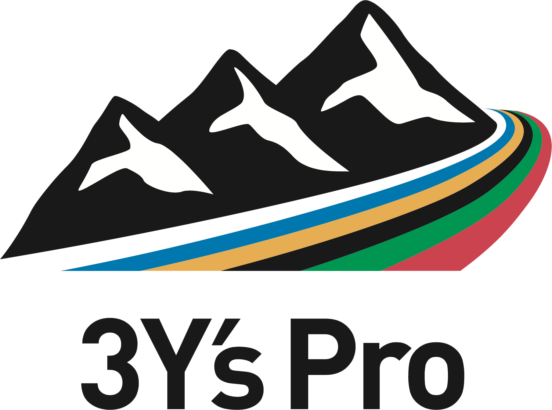 特定非営利活動法人 3Y's Pro